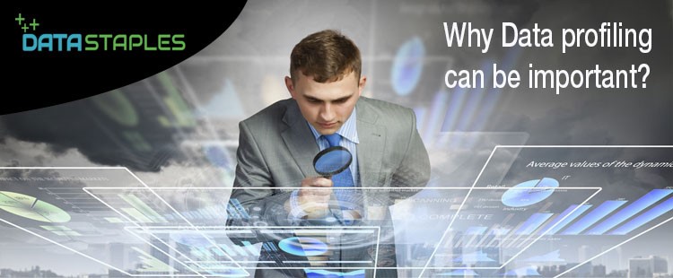 What Is Data Profiling And How It Can Accelerate Your Lead Nurturing ...